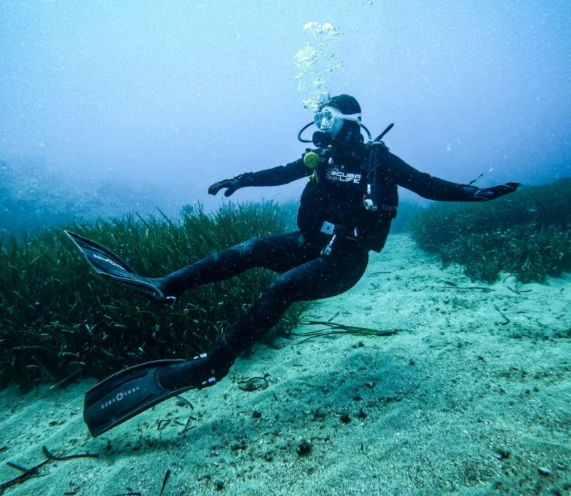 SSI Courses - Scubalife